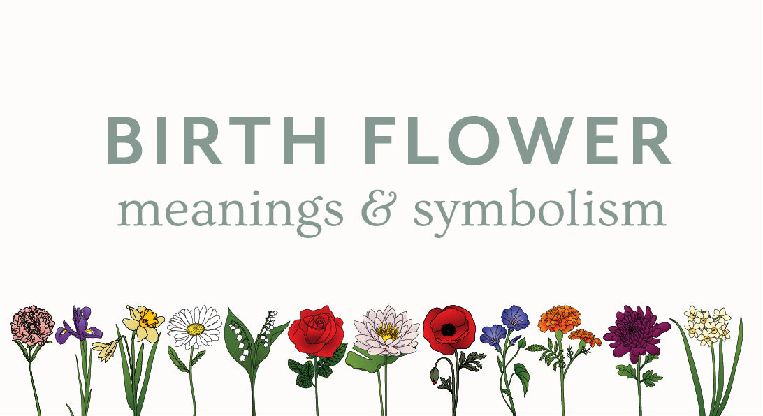 Birth Flower Meanings and Symbolism – Medley Creative